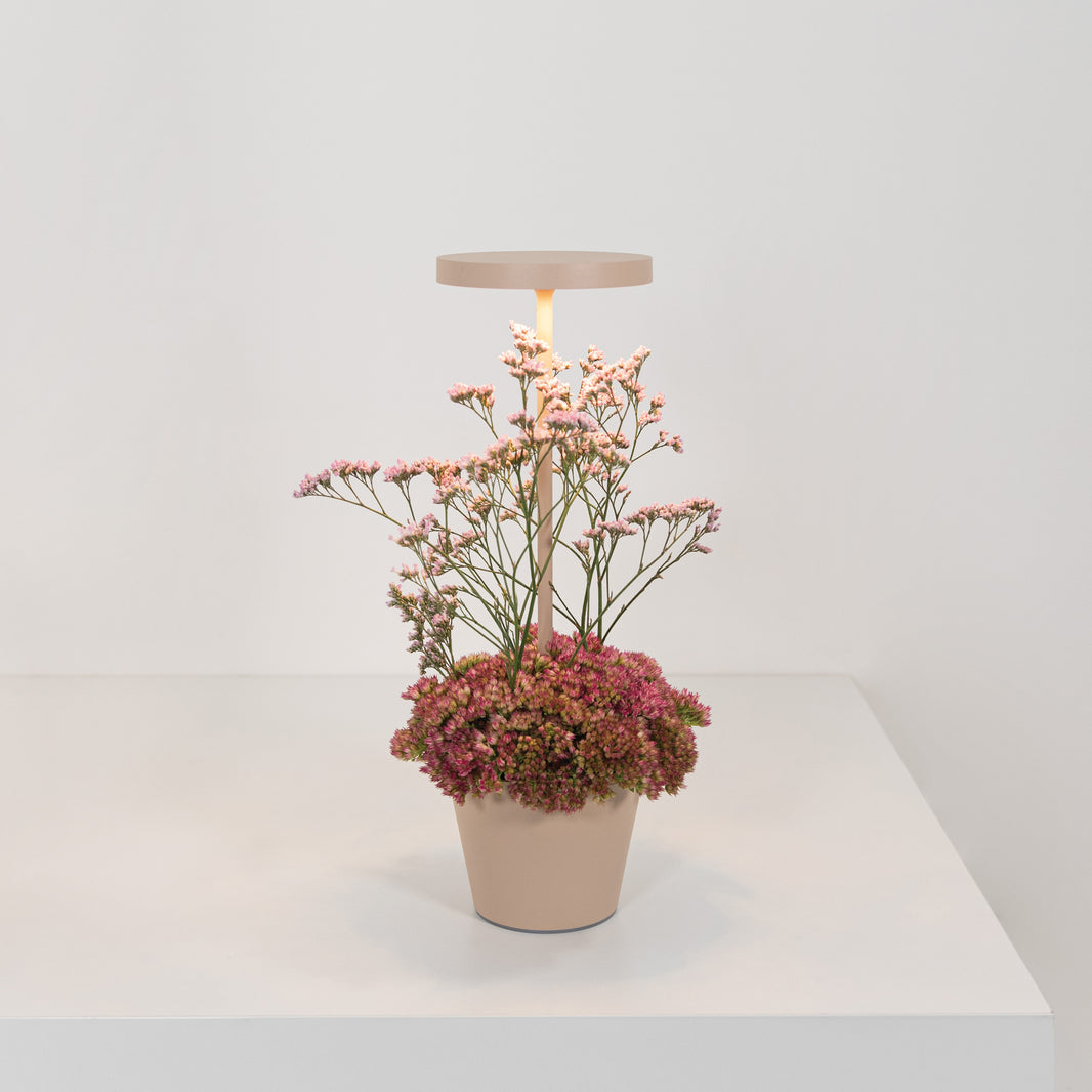 Indoor Lighting – Moodmakers